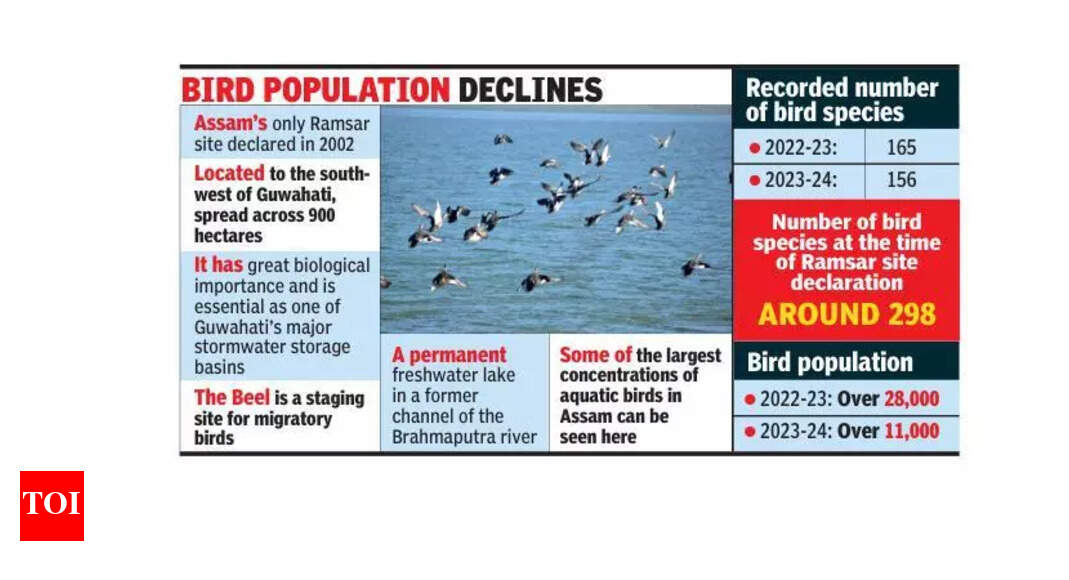 Deepor Beel biodiversity faces threat from Belortol dumping site ...
