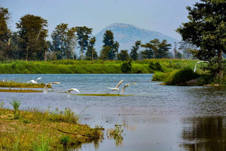 Kerala’s five destinations to become women-friendly by 2025; know these ...