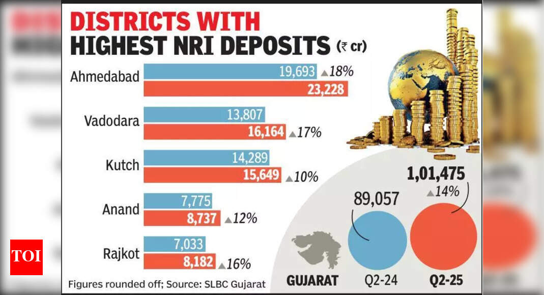 NRI deposits in Gujarat cross 1 lakh crore in Q2 | Ahmedabad News - Times of India