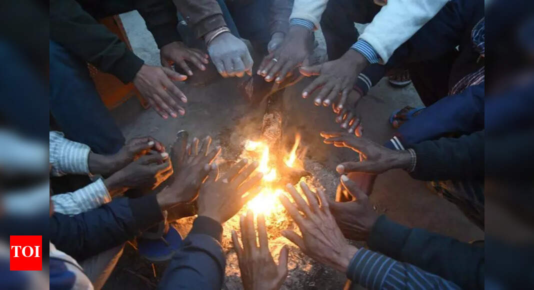 Nagpur’s cold wave hits MLAs & police hard | Nagpur News - Times of India