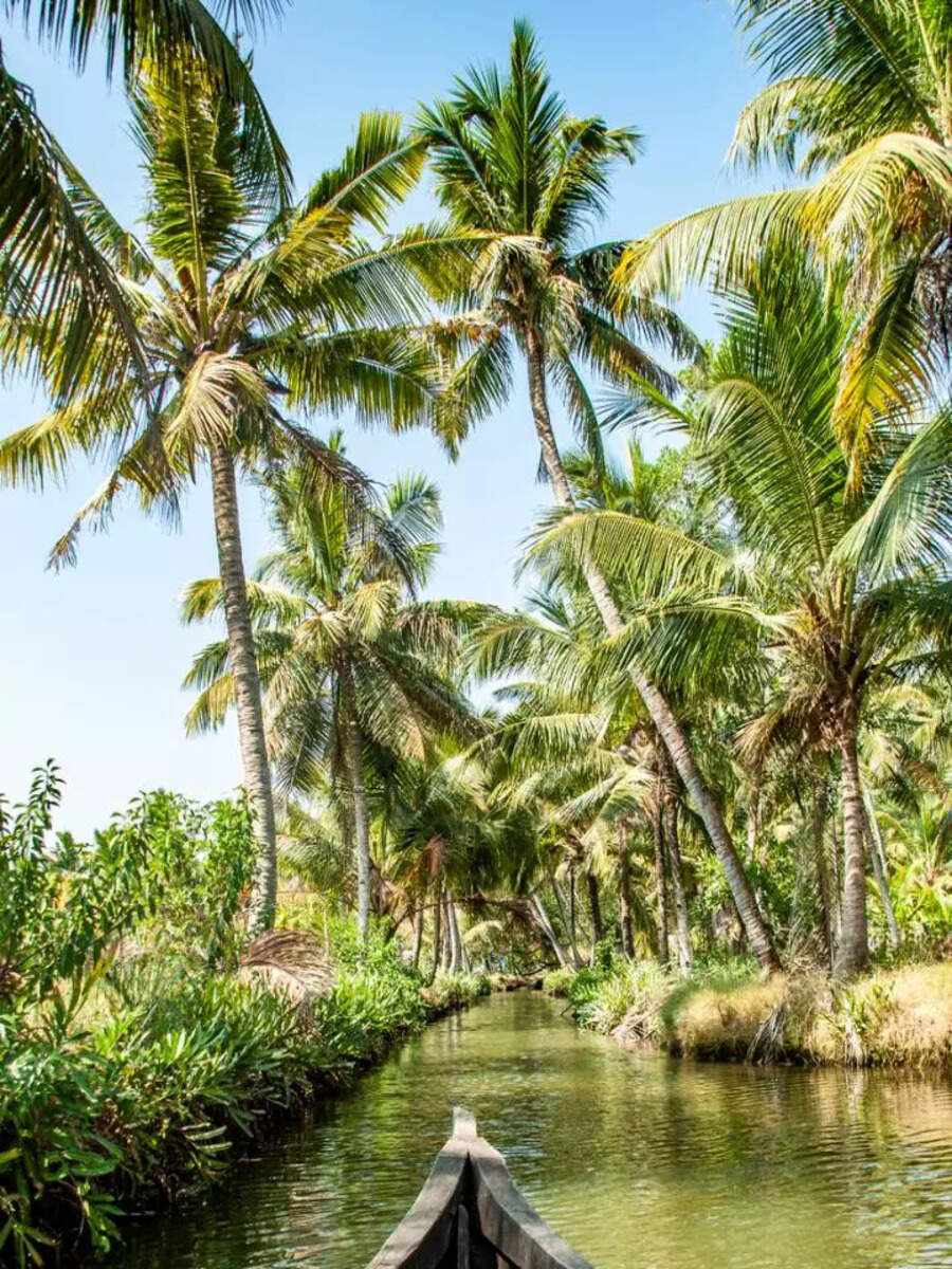 8 most beautiful lakes to explore in Kerala this December | Times of India