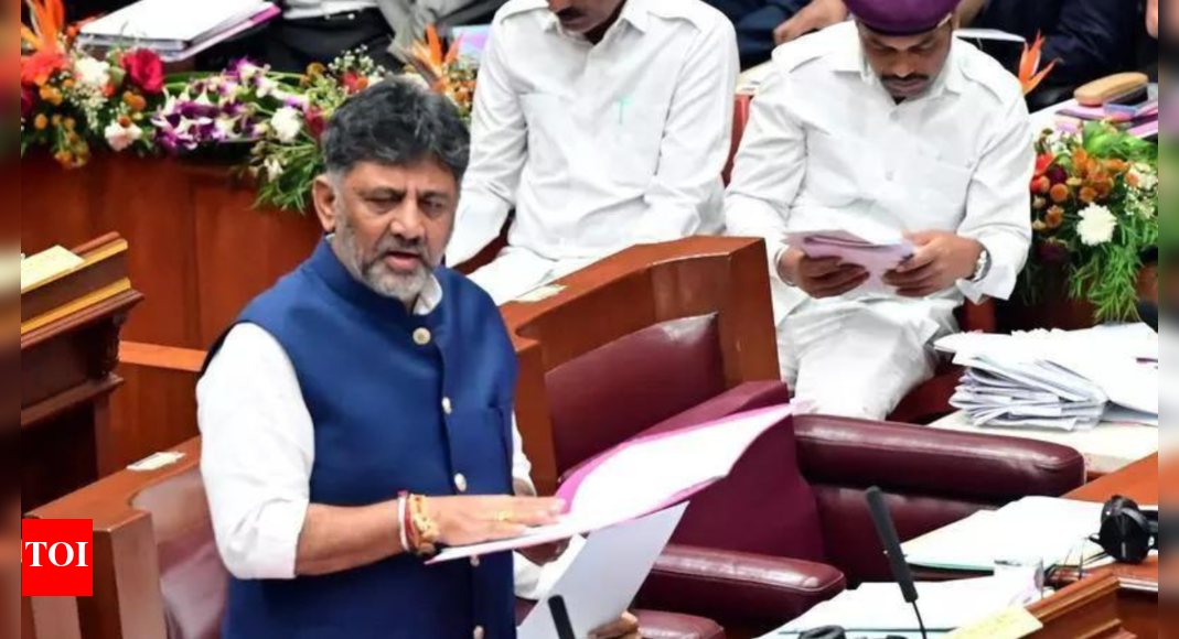 Bengaluru’s garbage mafia too hot for govt to handle | Bengaluru News ...