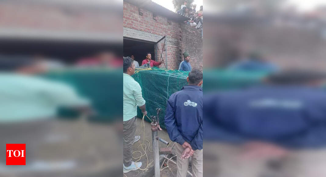 Leopard enters house in Bijnor, caged after 5-hr op | Meerut News ...