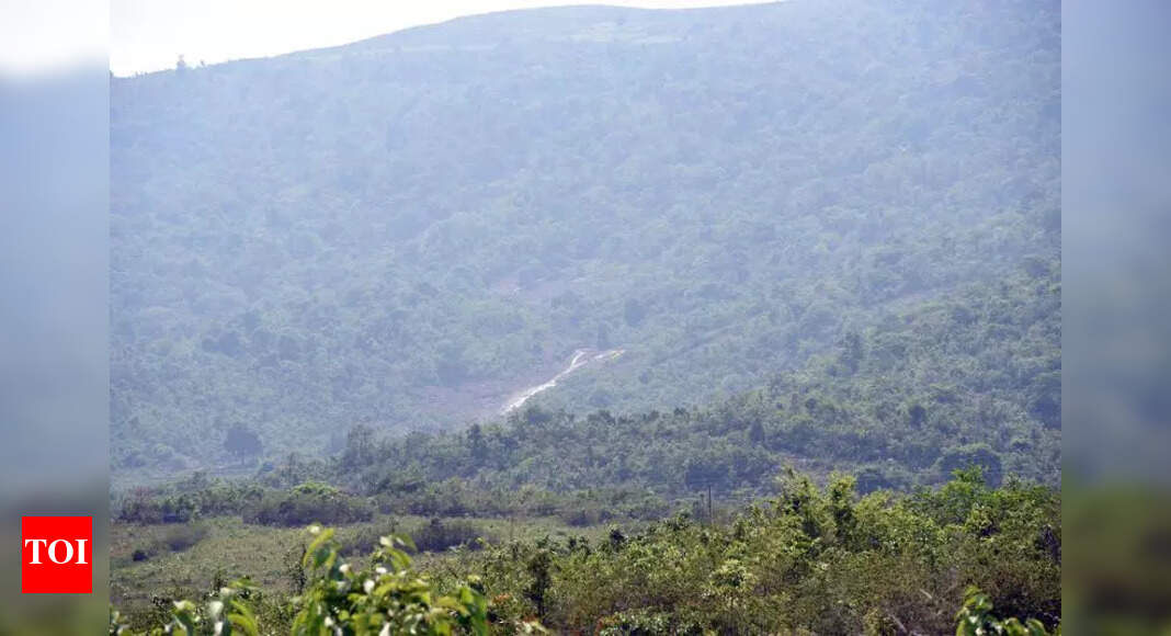 Odisha 2nd in country for max increase in forest cover | Bhubaneswar ...