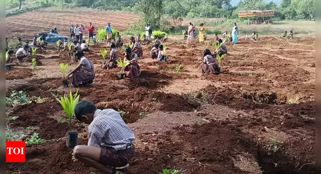 Kadaba govt school to mark centenary celebrations | Mangaluru News ...