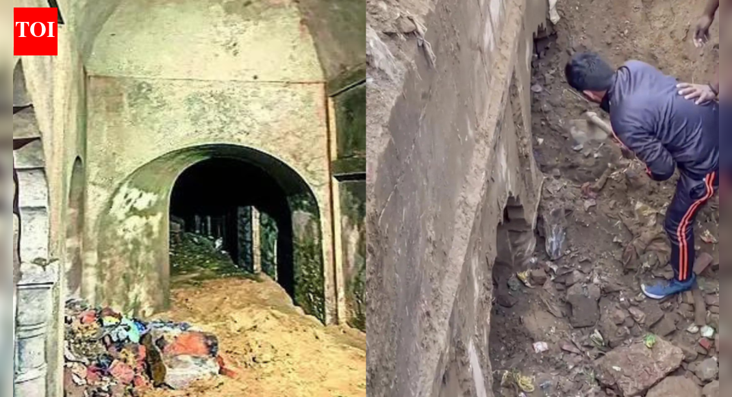 Sambhal Excavation: 'Mentioned as pond in revenue records': Stepwell ...
