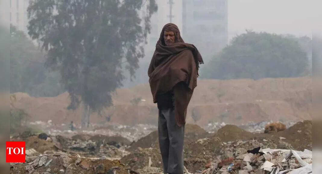 Brace for dense fog, cold wave for two days | Gurgaon News - The Times ...