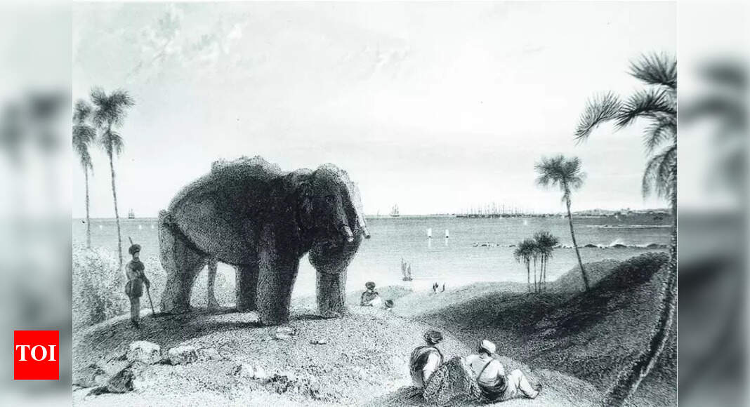 Chikkamagaluru to establish permanent elephant task force | Mysuru News ...