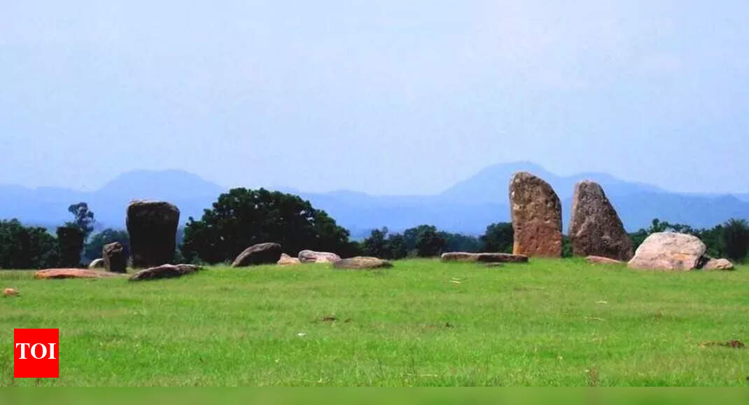Punkri Barwadih megalith site gets international tourist spot status ...