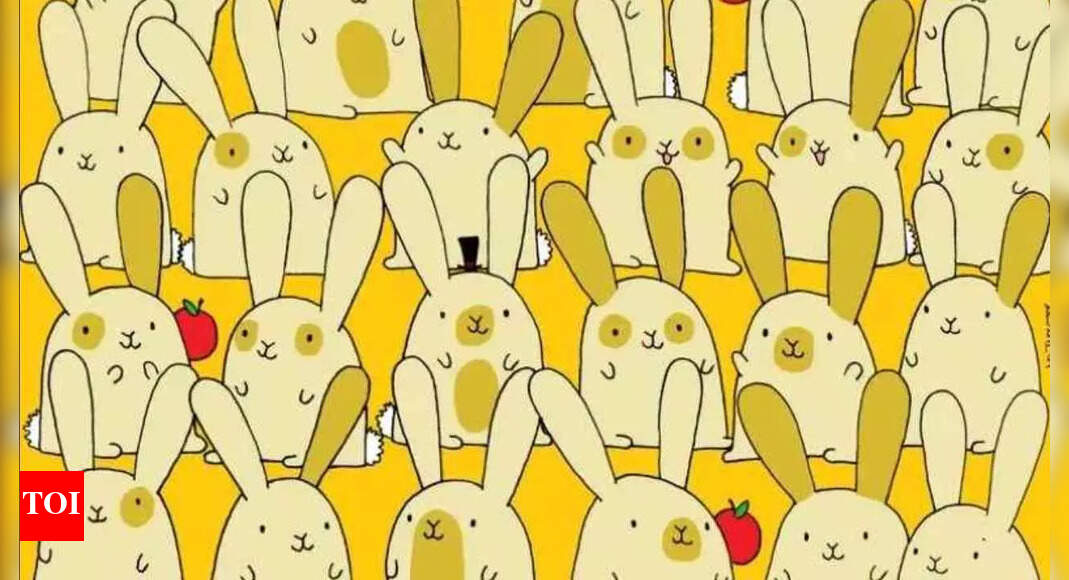 Optical Illusion: Think you have sharp eyes? Spot the hidden bunny in ...