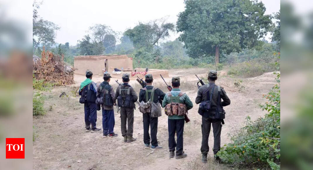 State sees 26% drop in left-wing extremism in ’24 | Ranchi News - Times ...