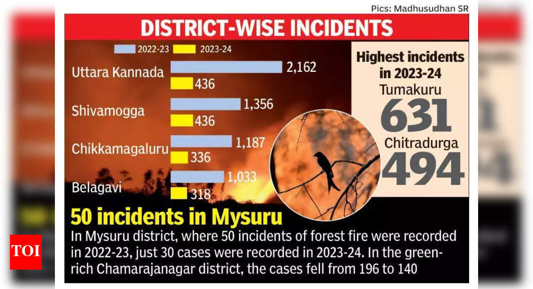 Karnataka sees over 50% reduction in forest fire: Report | Mysuru News ...