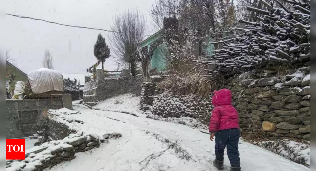 Fresh snowfall, rain intensify cold wave in Himachal Pradesh, over 100 roads closed | Chandigarh ...