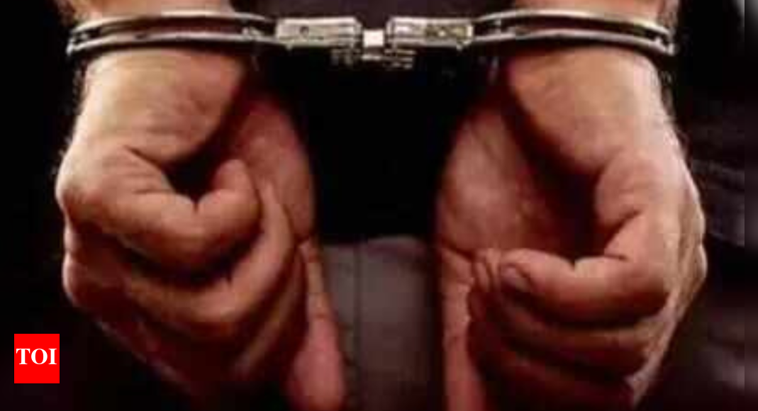 Bhilwara Police Arrest Notorious Cyber Fraudster Who Stole Rs 124 ...