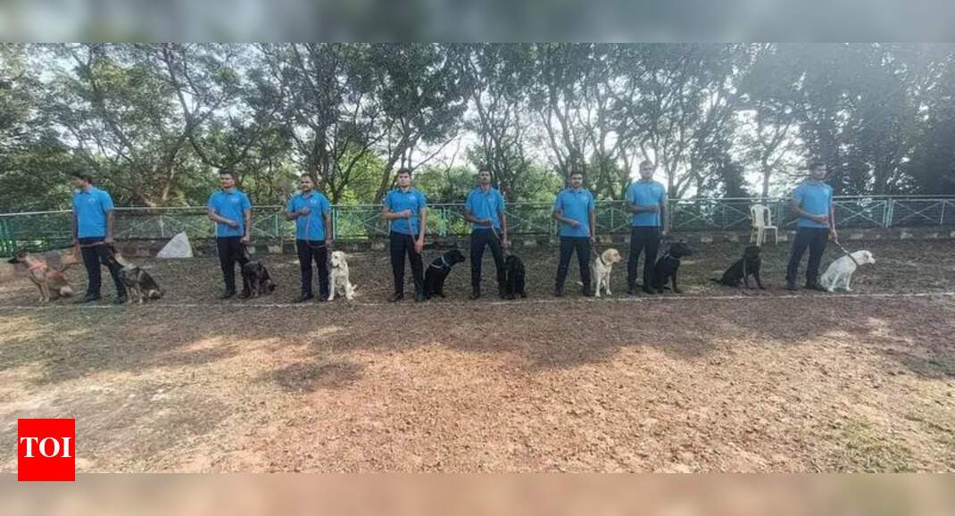 Fire service boosts disaster response by inducting canine squad | Bhubaneswar News - Times of India