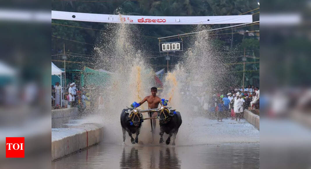 A spectacular display of tradition and unity draws crowds | Mangaluru ...