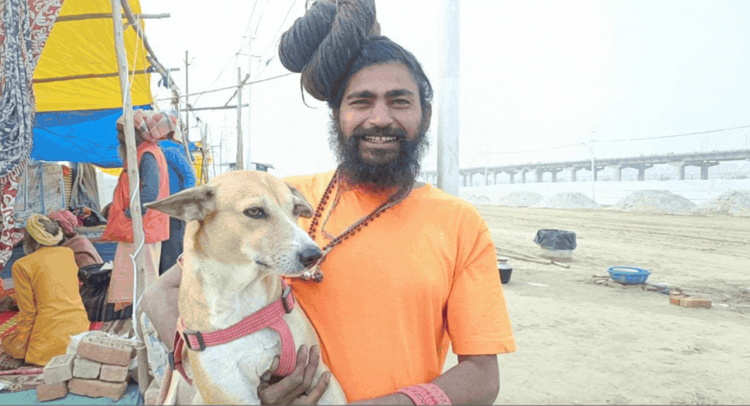 Pets Join Saints and Sages at the Maha Kumbh Mela: A Bonding Experience ...