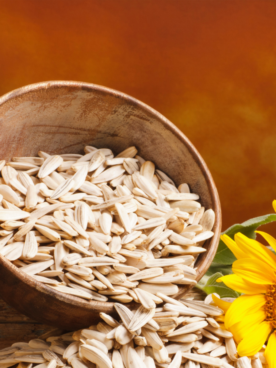 9 reasons to have a handful of sunflower seeds every day | Times of India