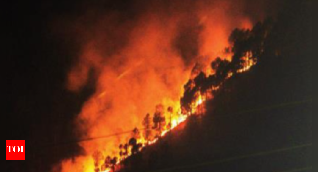 A year of forest fires, cloudbursts, heatwaves in Himanchal Pradesh | Shimla News - Times of India