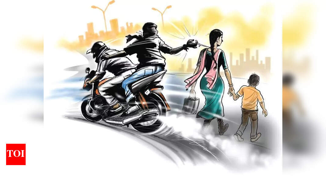 Over 100 chain snatching cases in 11 months keep cops on toes | Patna ...