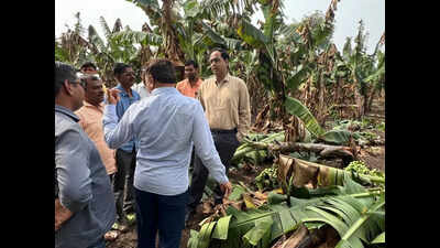 1,500 farmers hit by unseasonal rain on Friday in Dhule’s Shirpur ...