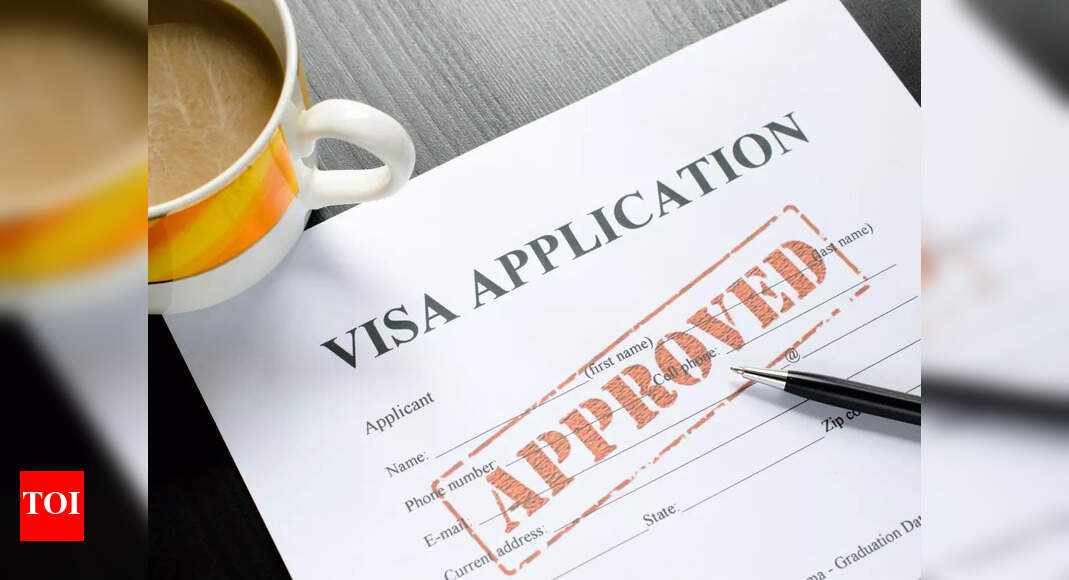 Visa applications soar in 2024: What's driving the surge? | - Times of ...