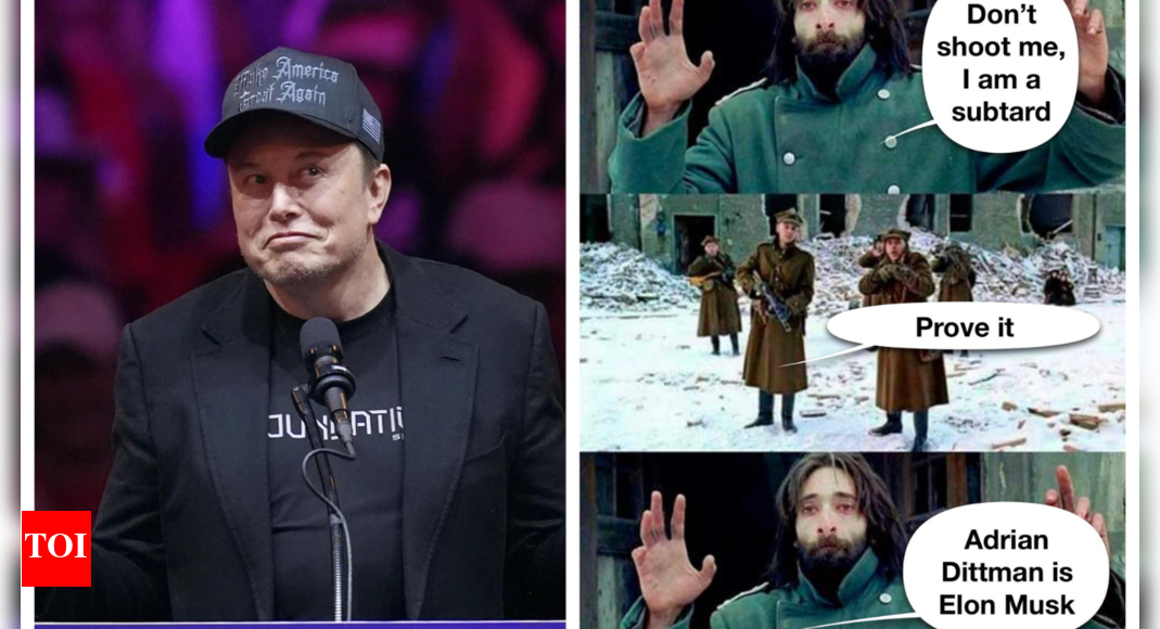 Elon Musk Adrian Dittmann: Elon Musk reacts to 'who is Adrian Dittmann ...