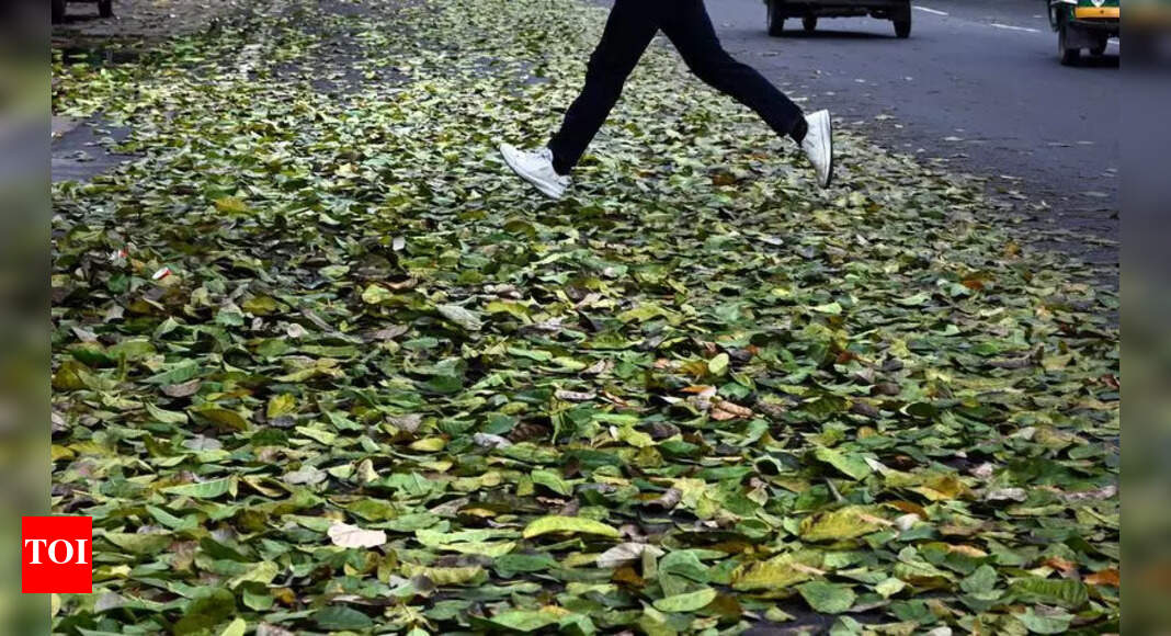 DDA launches plan to manage over thousands of acres of green spaces ...