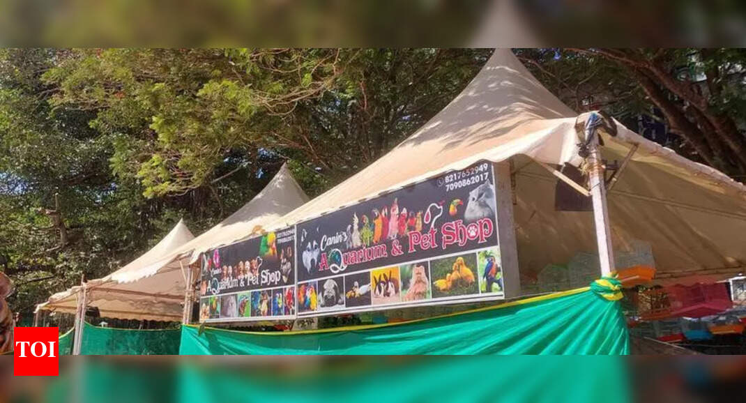 Concern raised over animal cruelty at Karavali Utsava | Mangaluru News ...