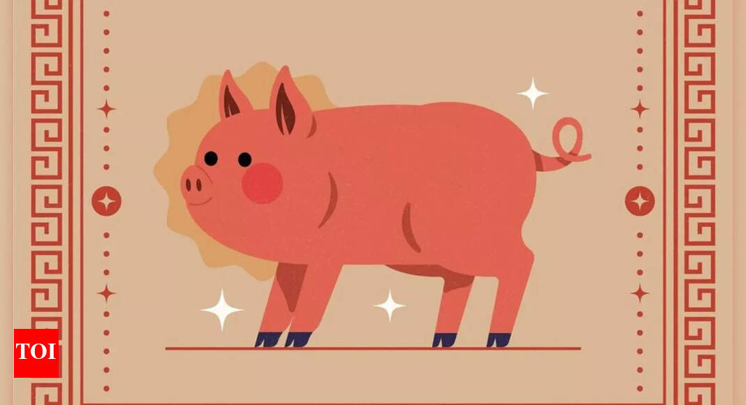 Pig Monthly Chinese Horoscope for January 2025: Stay Curious, Adaptable ...