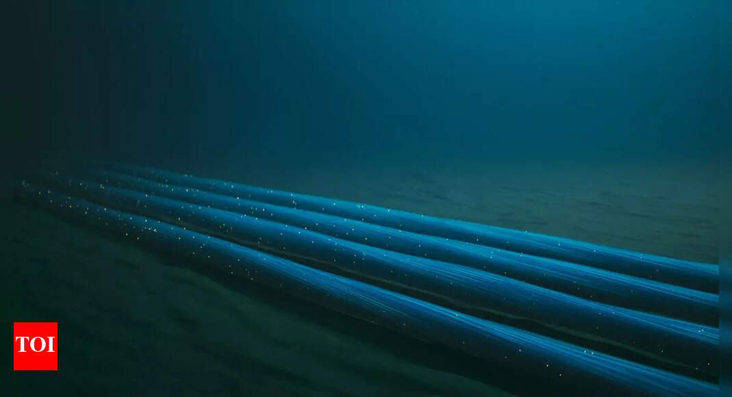 What happens when under sea internet cables snap - Times of India