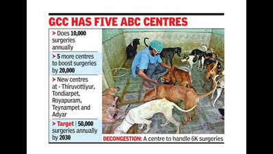Chennai opens five new animal birth control centres to boost ...