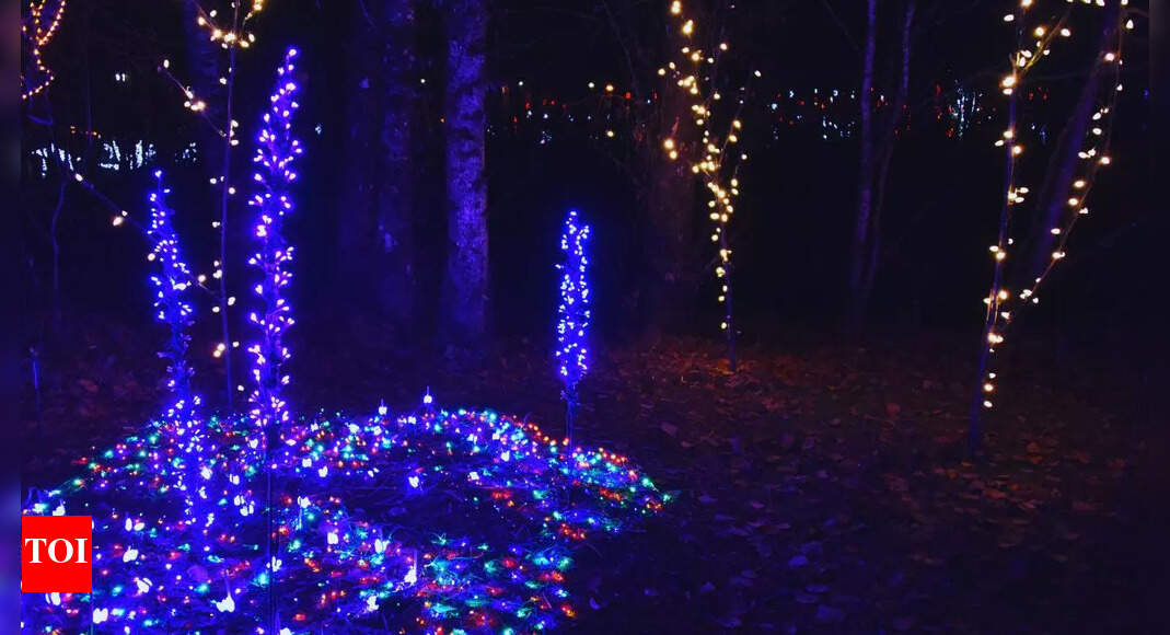 Experience magic at Ahmedabad’s Glow Garden with free entry during ...
