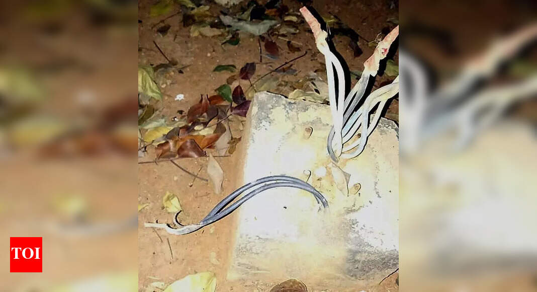 Man electrocuted while holding electric bulb | Trichy News - Times of India