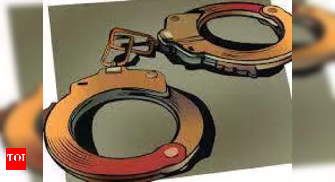 Father-son duo held for sickle attack on woman | Chennai News - The ...