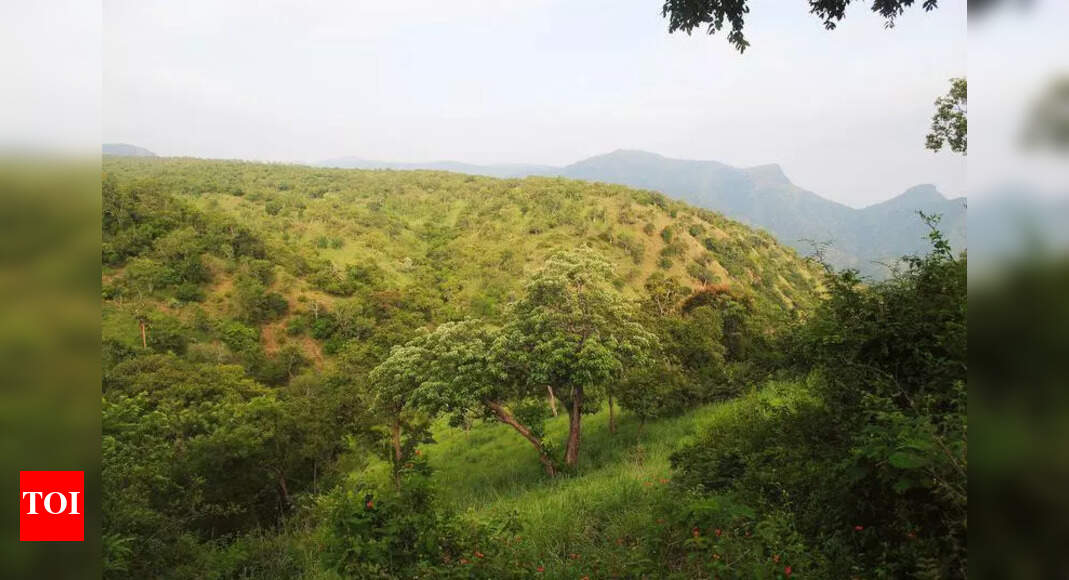 2,164 tribals in Coimbatore district granted Individual Forest Rights ...