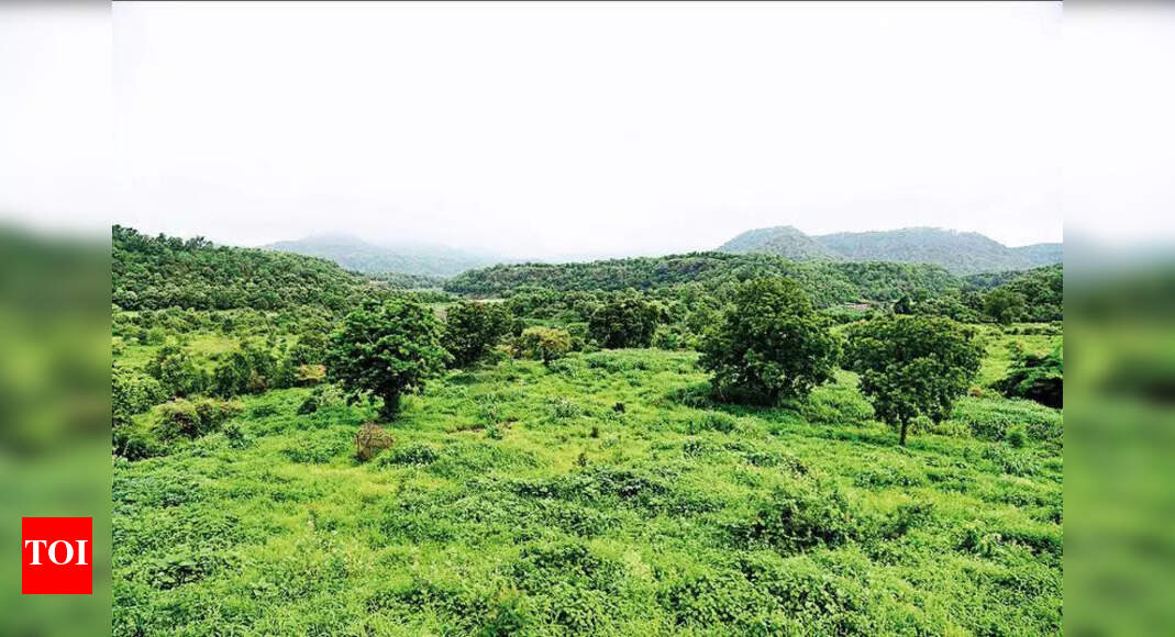 4 lakh acres of forest land given to encroachers in T? | Hyderabad News ...