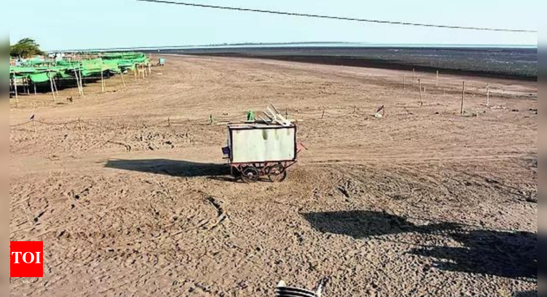 486 fake property cards made in Gujarat, 3 officials booked | Surat ...