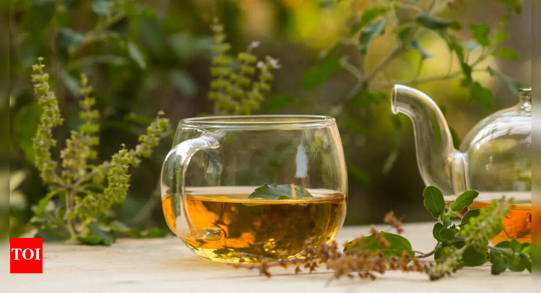 What is Tulsi Kadha, how to make it and its benefits in winter - The ...