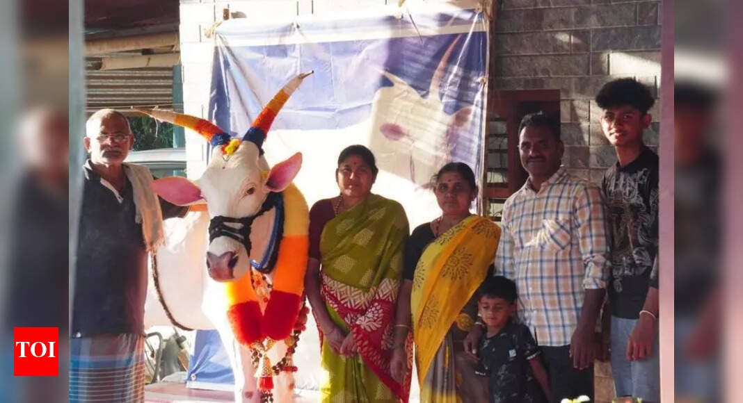 Owner of winning bull honours it with statue | Mysuru News - The Times ...