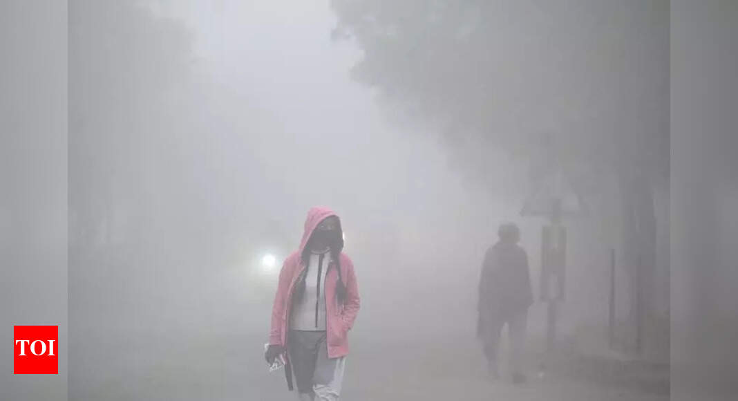 Dense fog blinds city in morning | Lucknow News - The Times of India