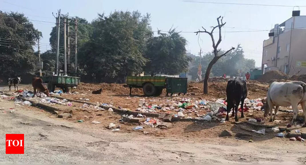 37 sweepers in 2017, only 5 now: Garbage piles up, drains broken in ...