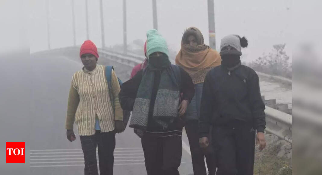 Cold weather: Schools up to class 8 closed till Jan 11 in Patna ...