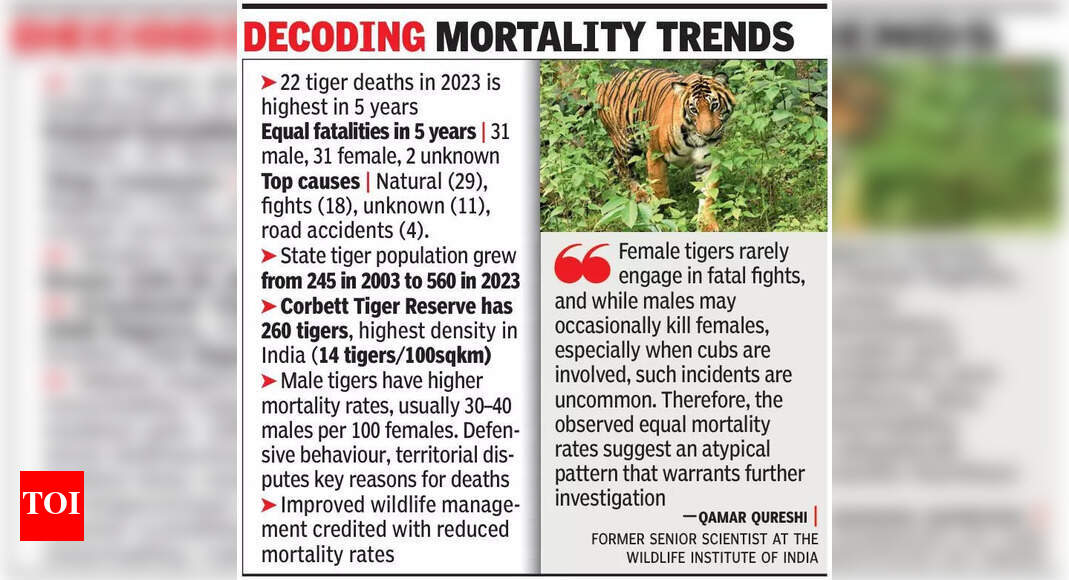 15 tiger deaths in 2024 take 5-year toll to 64 in Uttarakhand ...