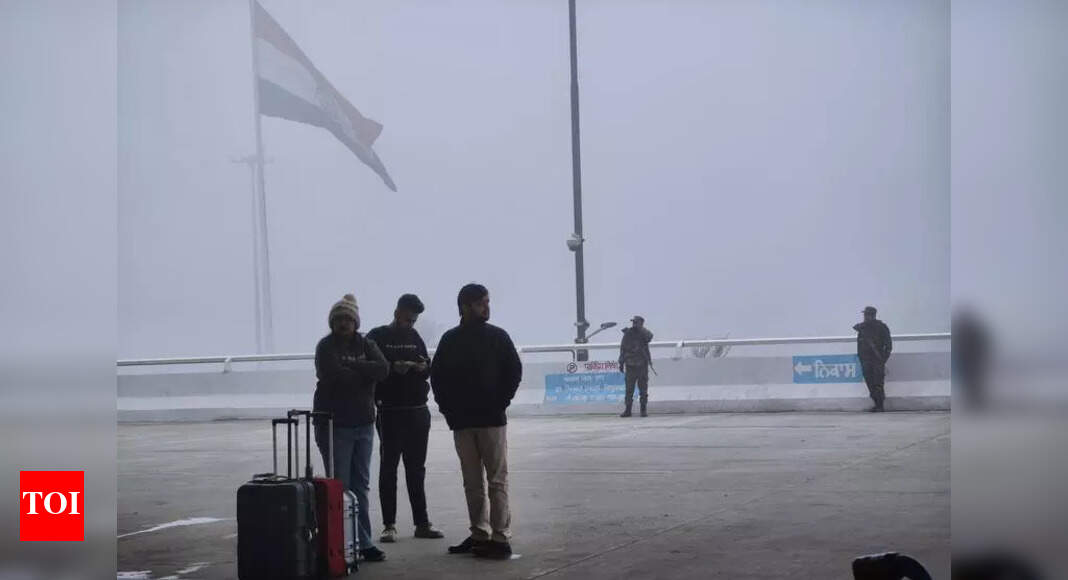 Fog disrupts air, rail travel for third day in a row | Chandigarh News - The Times of India