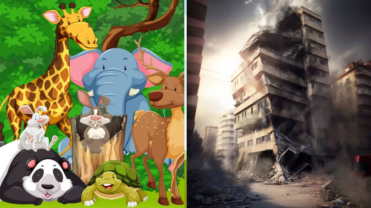How Animals Sense Earthquakes Before We Do