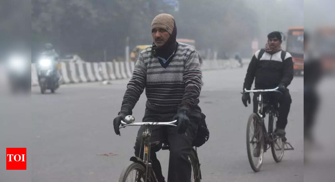 Delhi gets light rain and cold day in pockets, but relief from blinding fog | Delhi News - The ...
