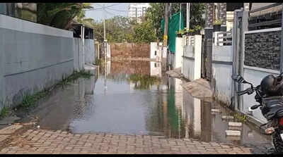 Meeting decides to expedite sea wall construction in Edakochi | Kochi ...