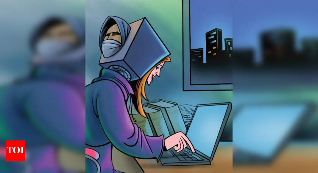 Police bust credit card fraud scheme; 2 held for phishing operation ...