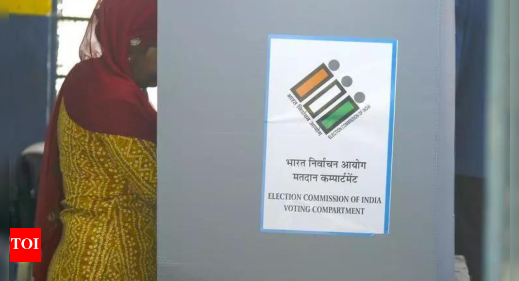 Delhi polls: Number of voters up 8 lakh in a year, you can still enrol ...